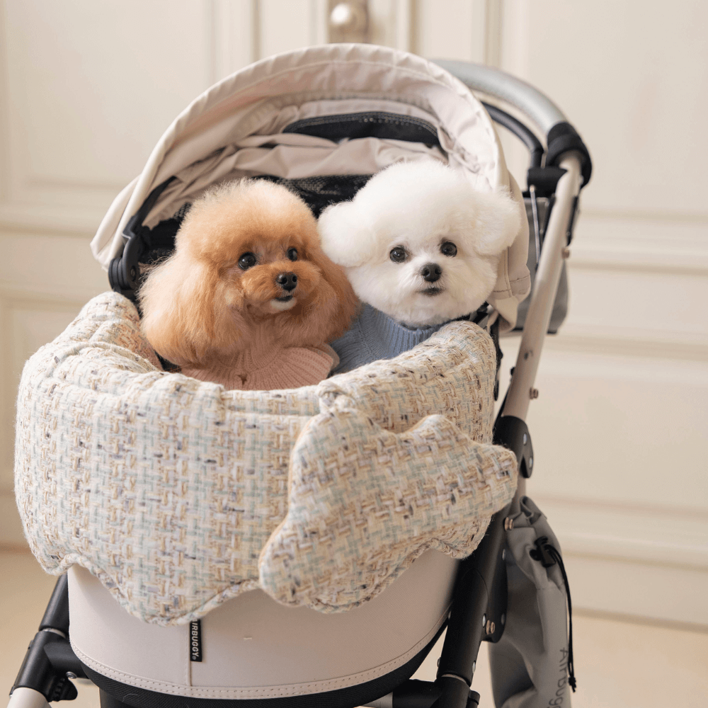 Mint Tweed Buggy Series