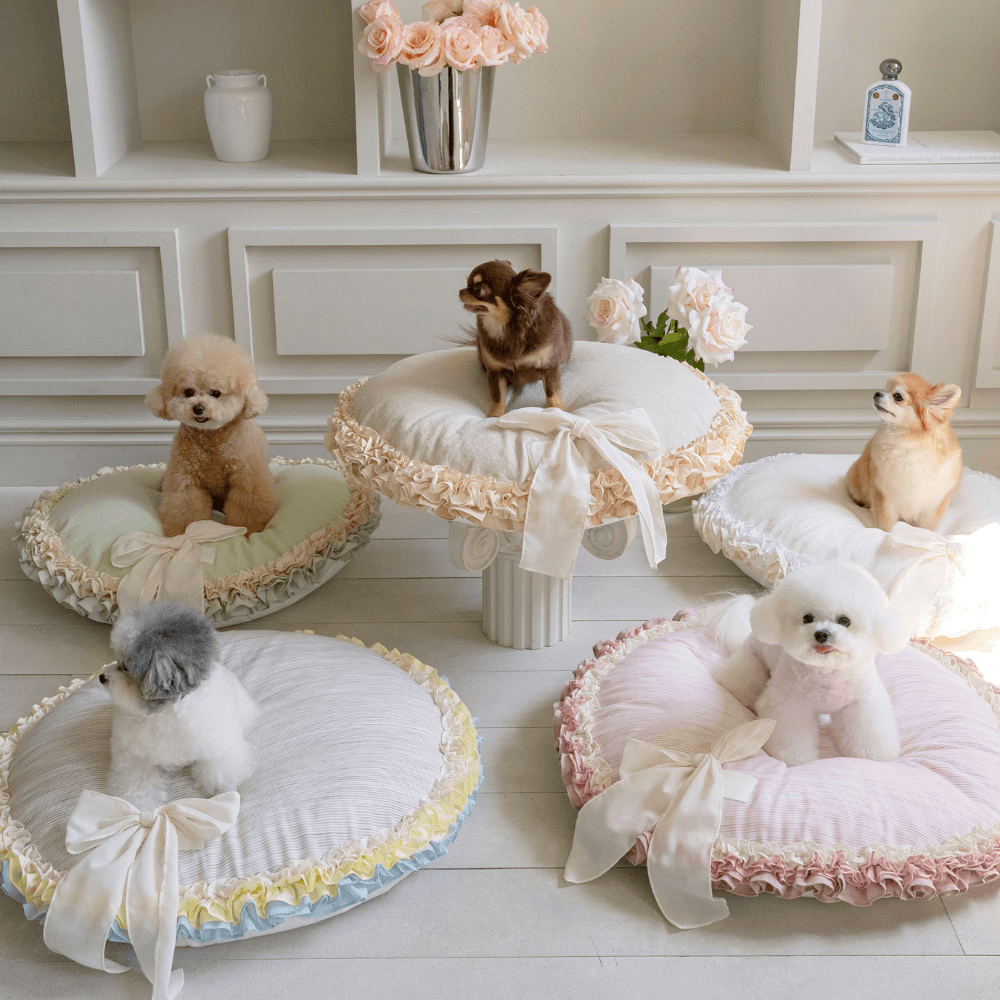 Peony Ruffle Collection（OPAAAP）