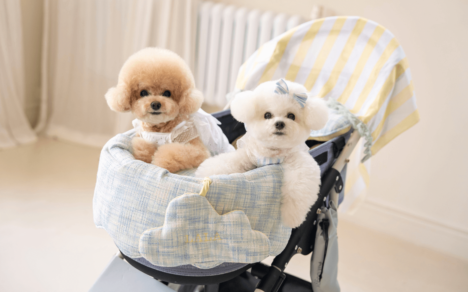 Blue Tweed Summer Buggy Collection
