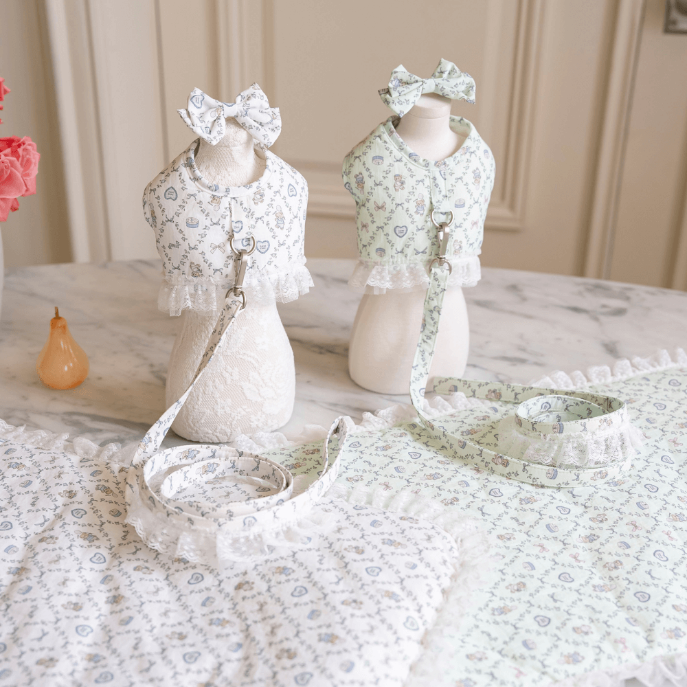 Ice Teddy Collection