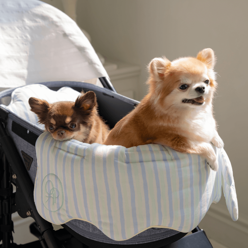 Fluffy Buggy Collection