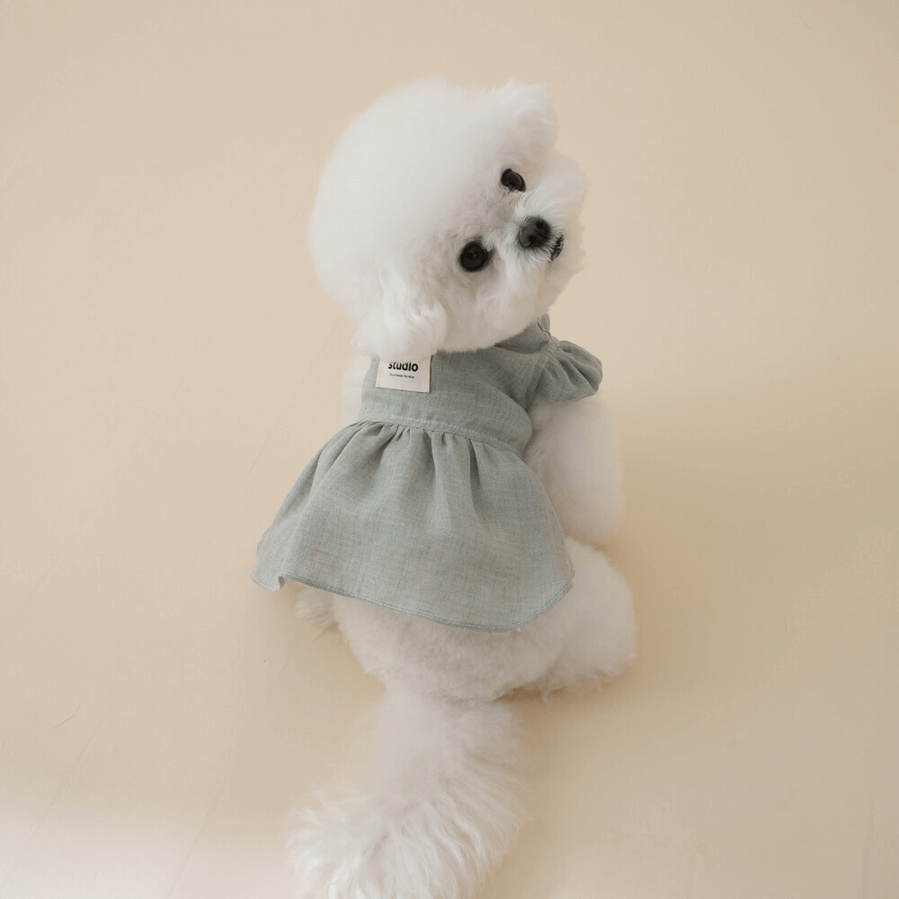 Pure Linen Dress (Mint)