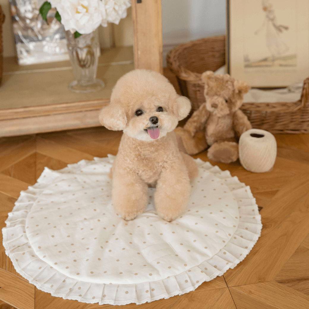 Sunday Circle (2color)