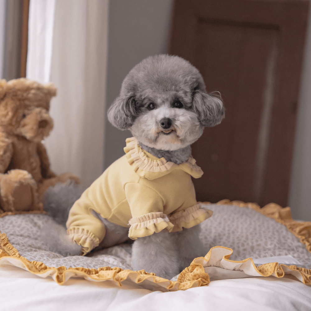 Plie Tu-Tu All in one（Mustard）