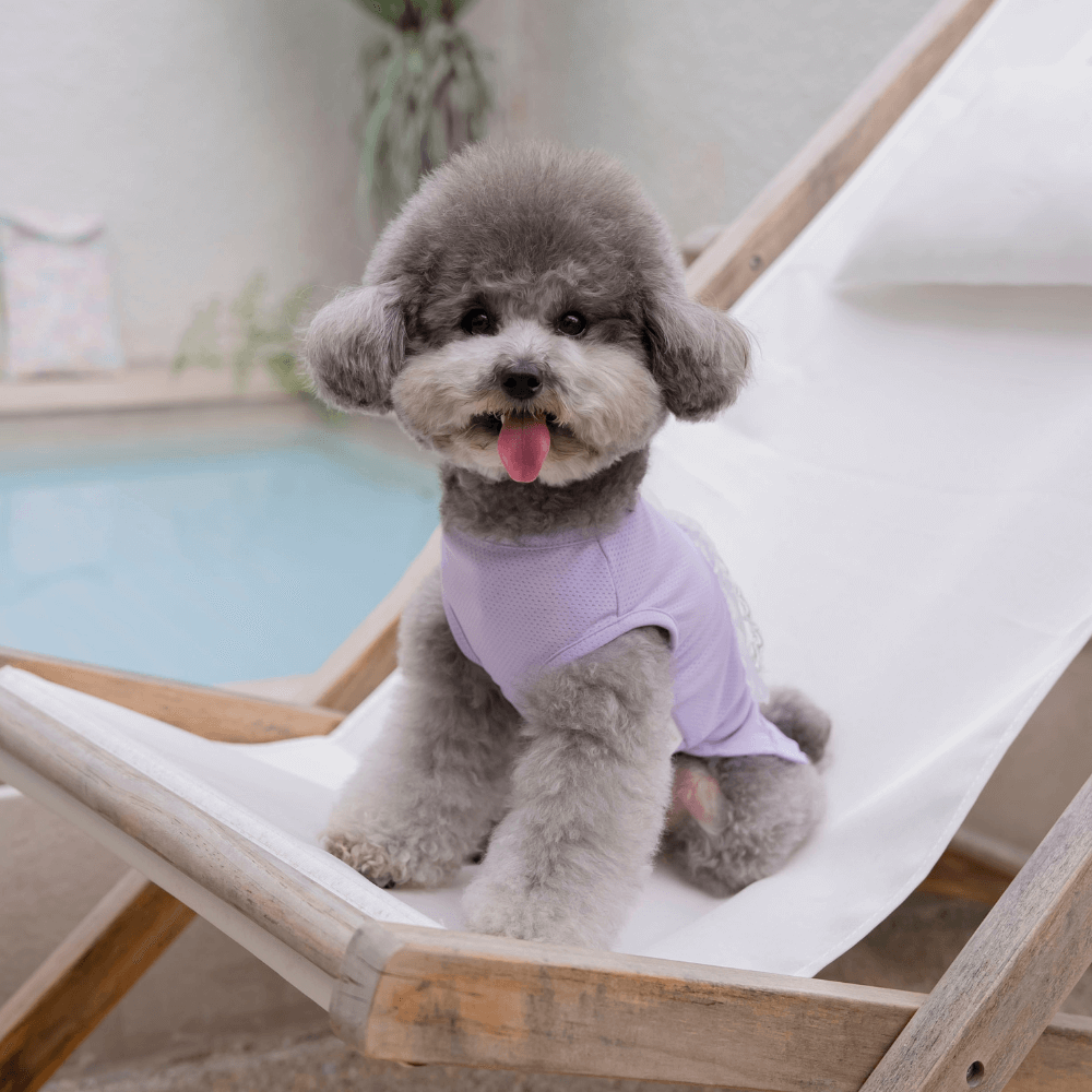 New Heart Cool T-Shirt（Lavender）