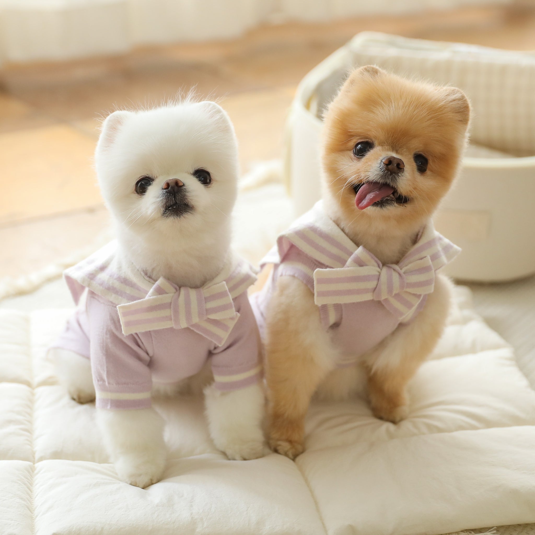 マリンセーラーニット（ラベンダー）