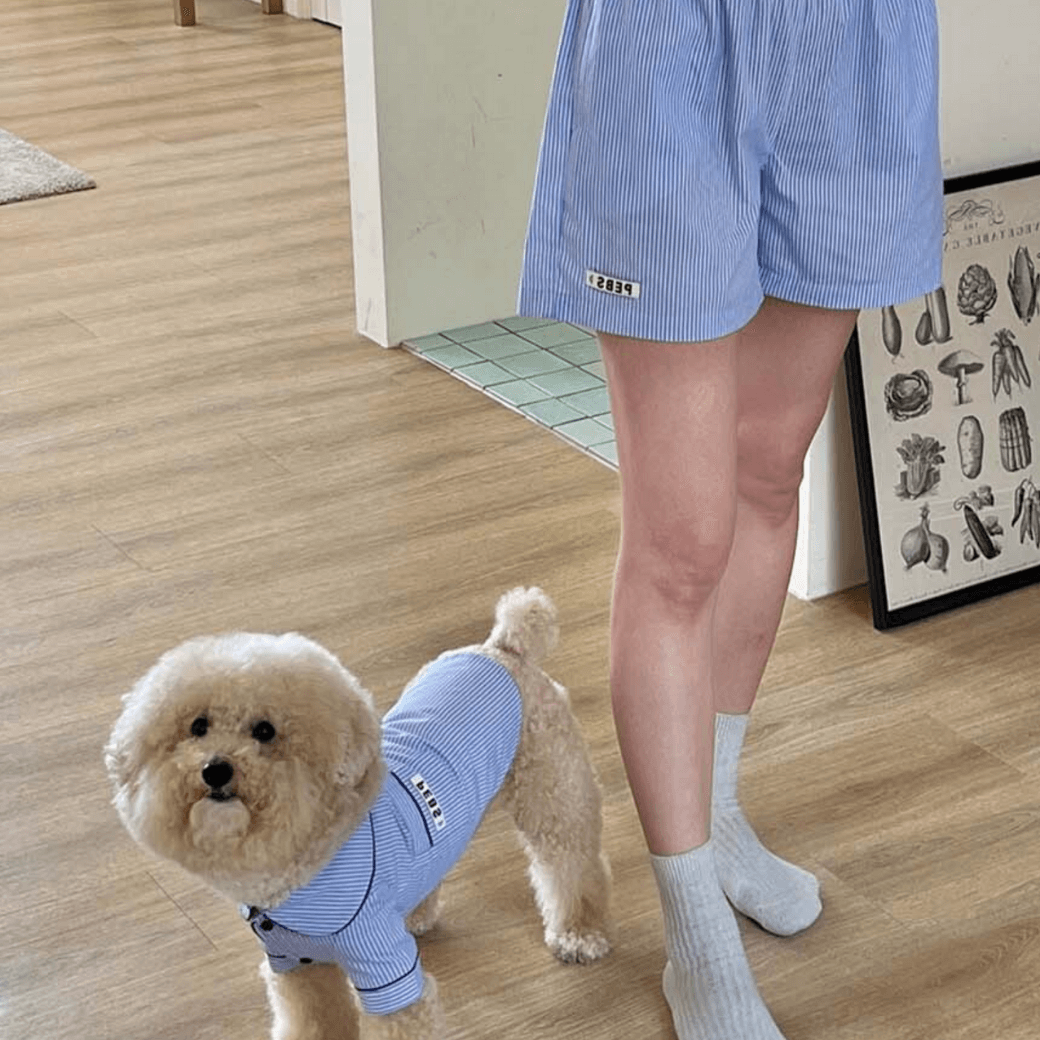 Human Shorts (Blue-stripe)