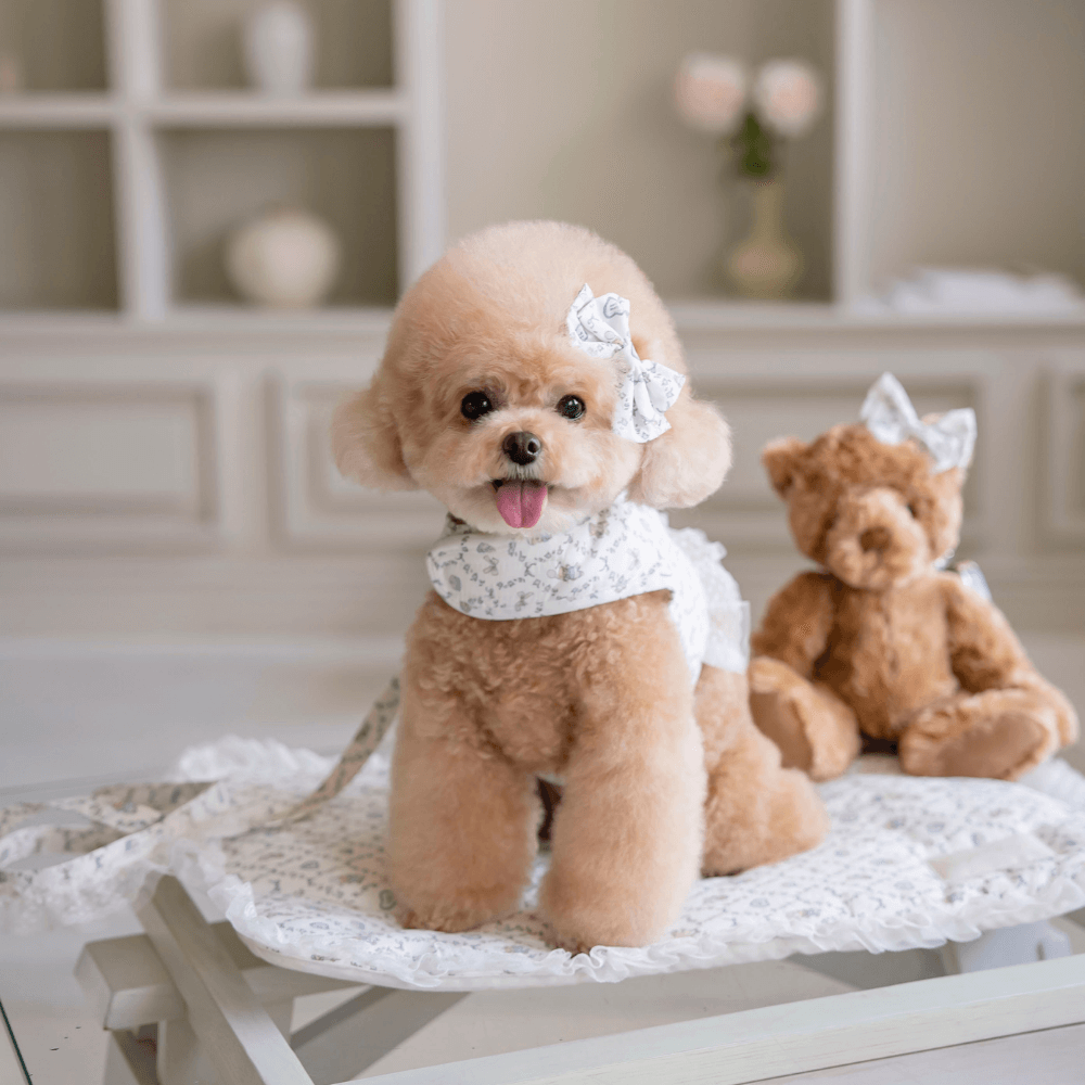 Ice Teddy Harness(White)